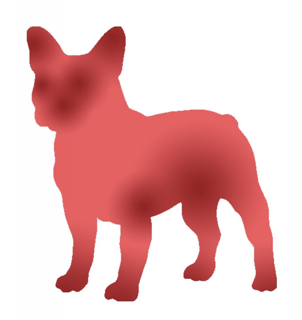 Dermatite Atópica Canina (Atopia Canina): como se trata? – O Meu Animal