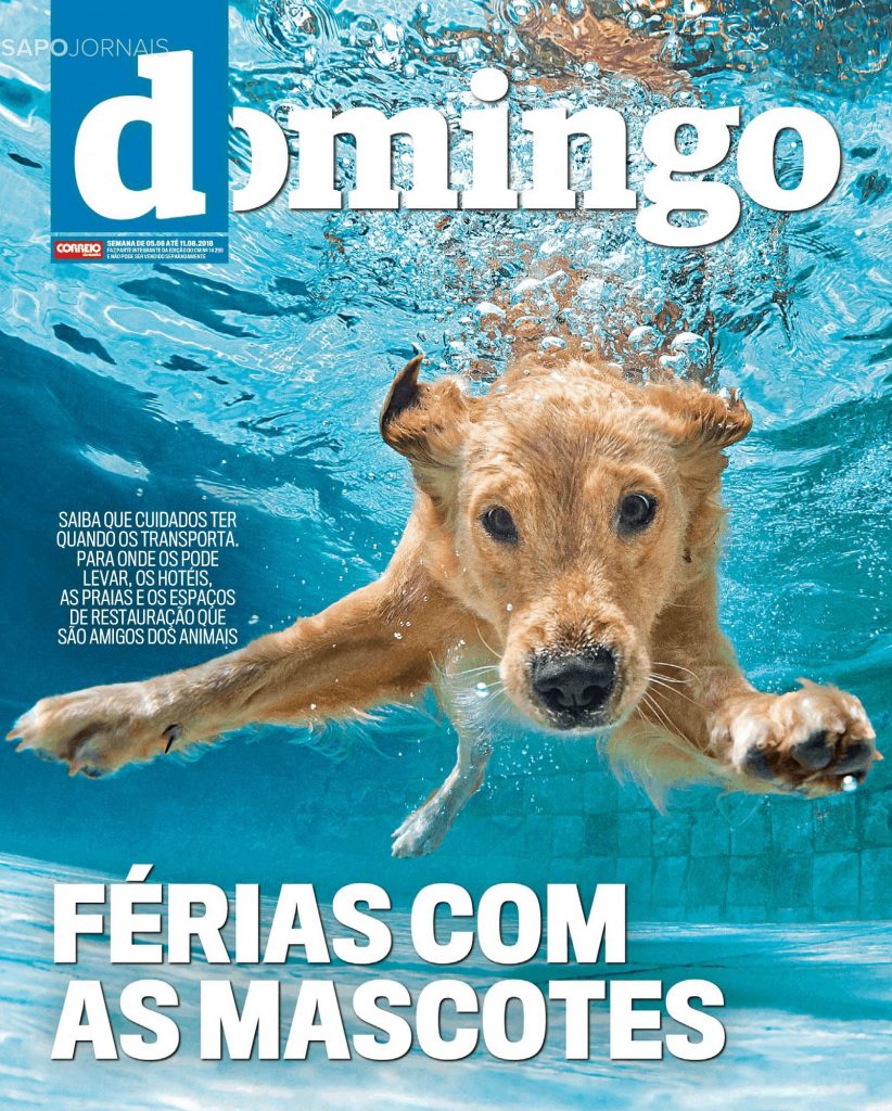 Divulgação – O Meu Animal